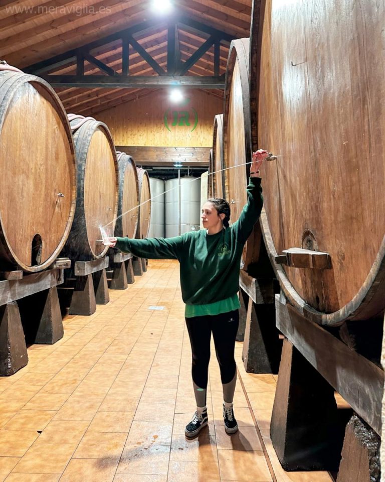 What to see in Gijón (+ unique experiences)